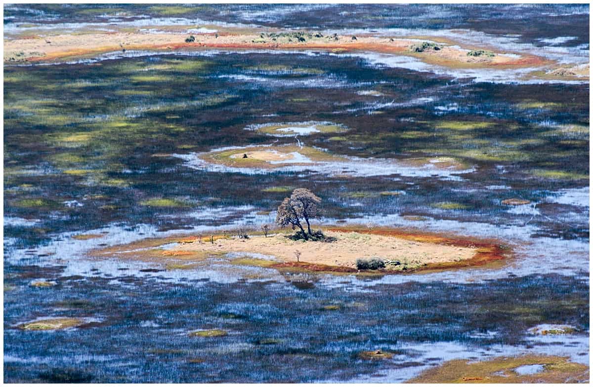 An Okavango Delta Safari Botswana - Africa's Greatest Wilderness?