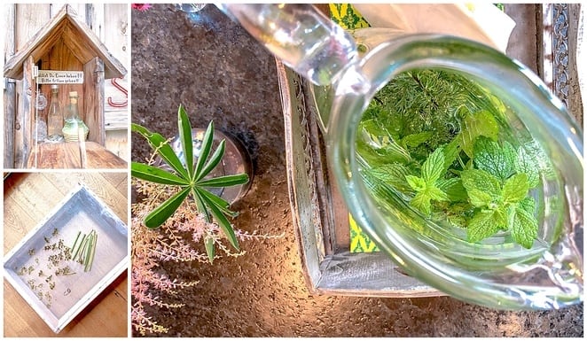 Summer in Lech Zurs am Arlber - "The Door to Pure Nature"