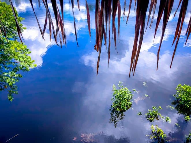 The Ultimate Amazon Travel Tips for Your Next Adventure