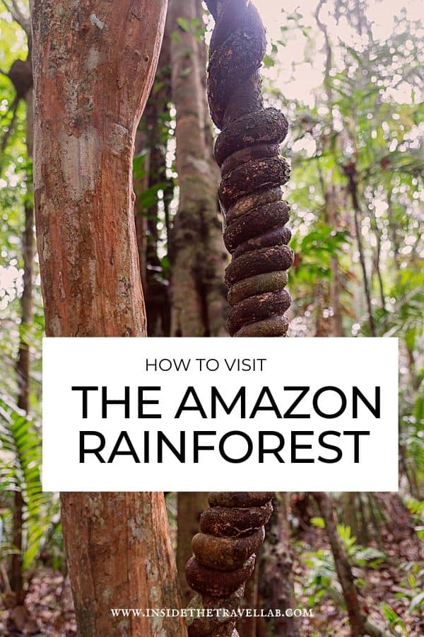 What to do in the Amazon Rainforest: Five Highlights You Can't Miss - 2020