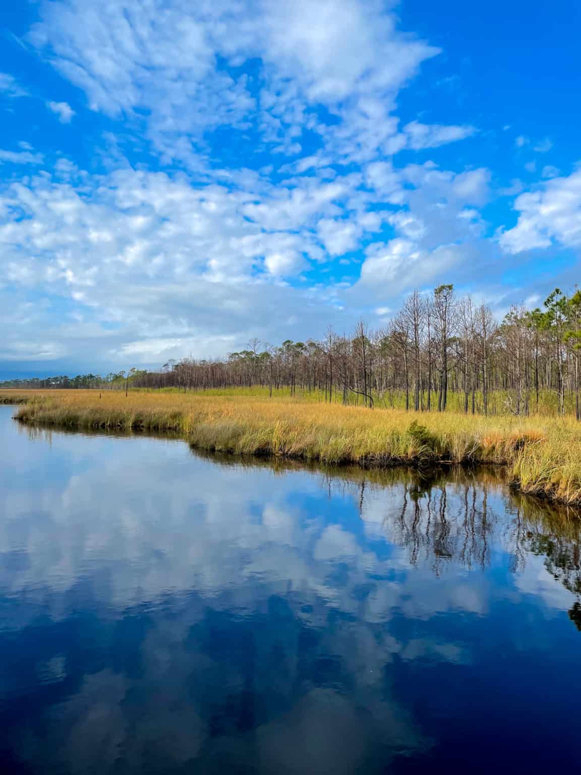 What is Alabama Known for? 101 Interesting and Fun Facts about Alabama