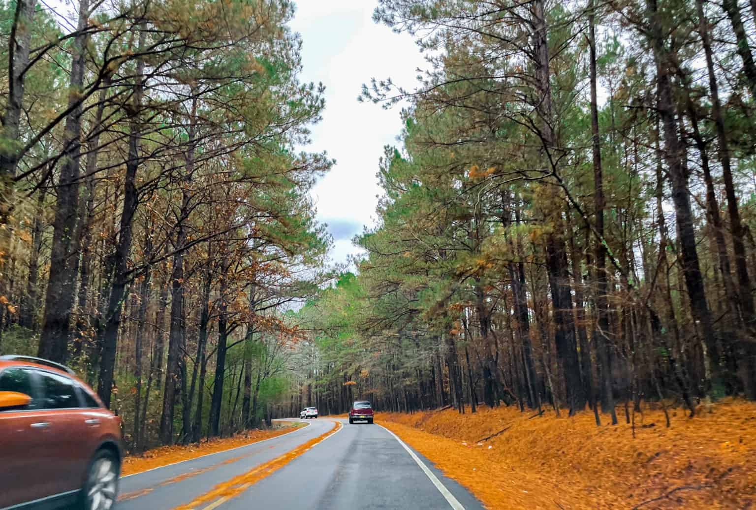 The Best Alabama Road Trips - 7, 10 and 14 Day Itineraries