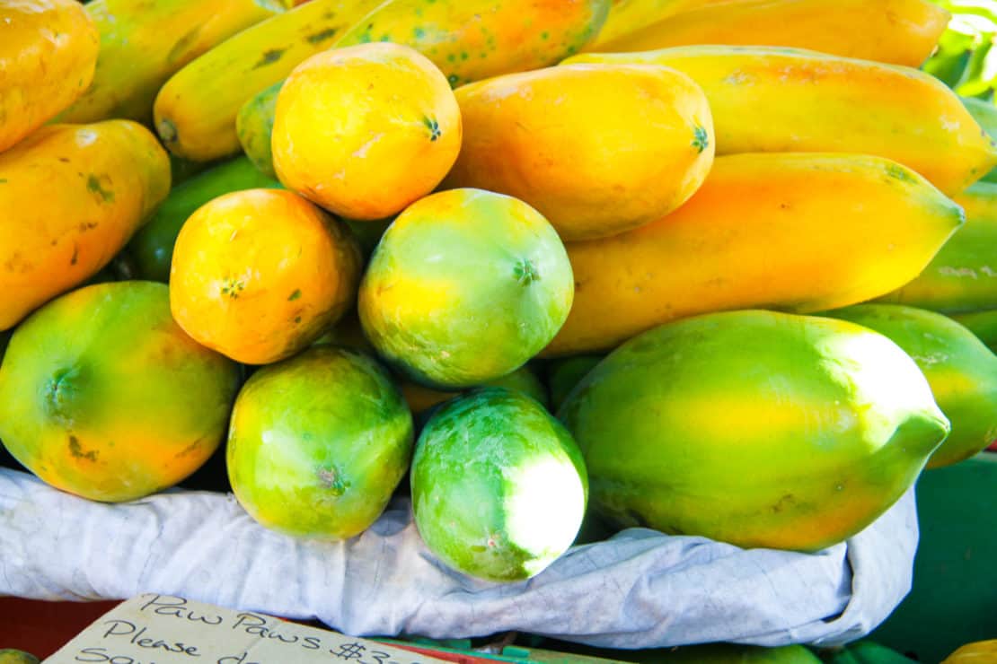 The Best Things to do in Darwin, Australia’s Northern Territory