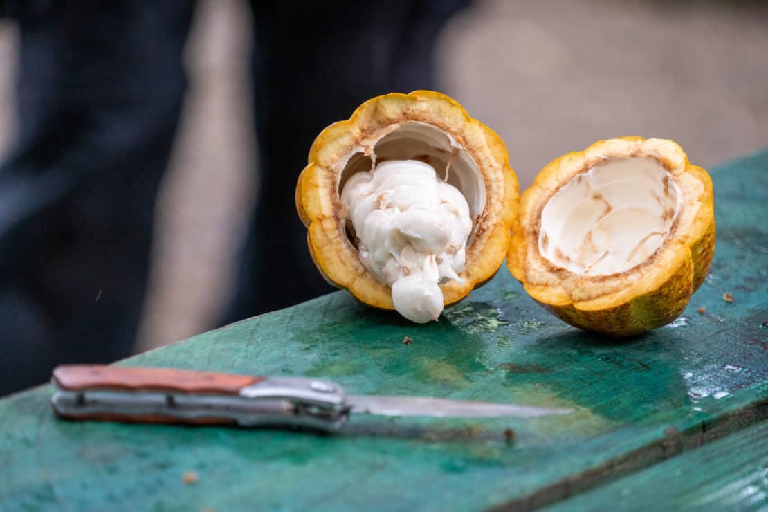 9 Reasons to Travel to the Dominican Republic with Kids