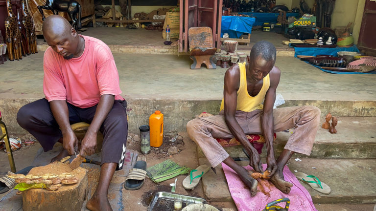 Is The Gambia worth visiting? What You Need to Know