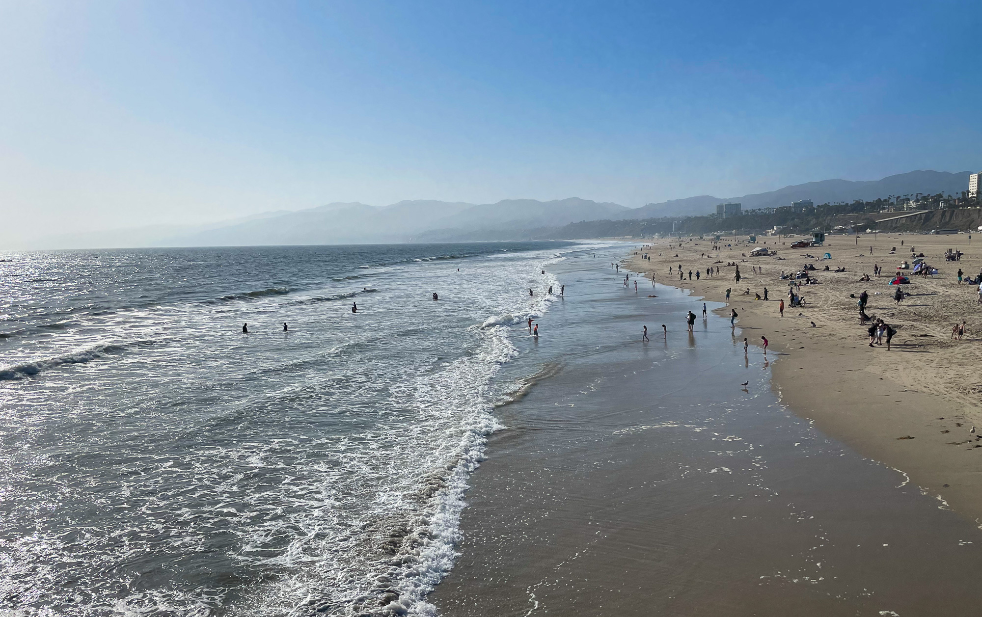 Santa Monica vs Venice Beach: What You Need to Know