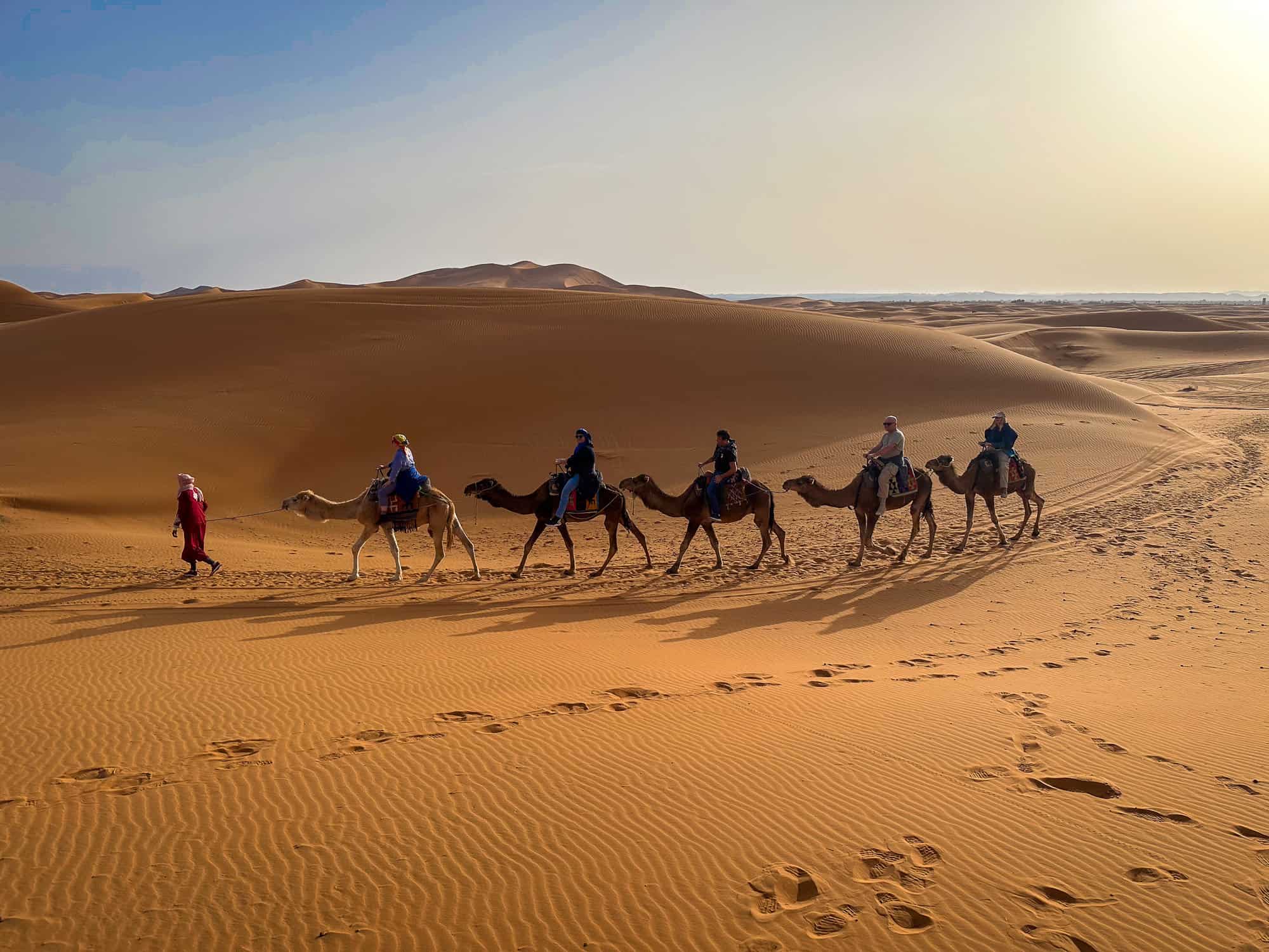 Why You Should Visit Marrakech in Winter: Your Winter Guide to Marrakech
