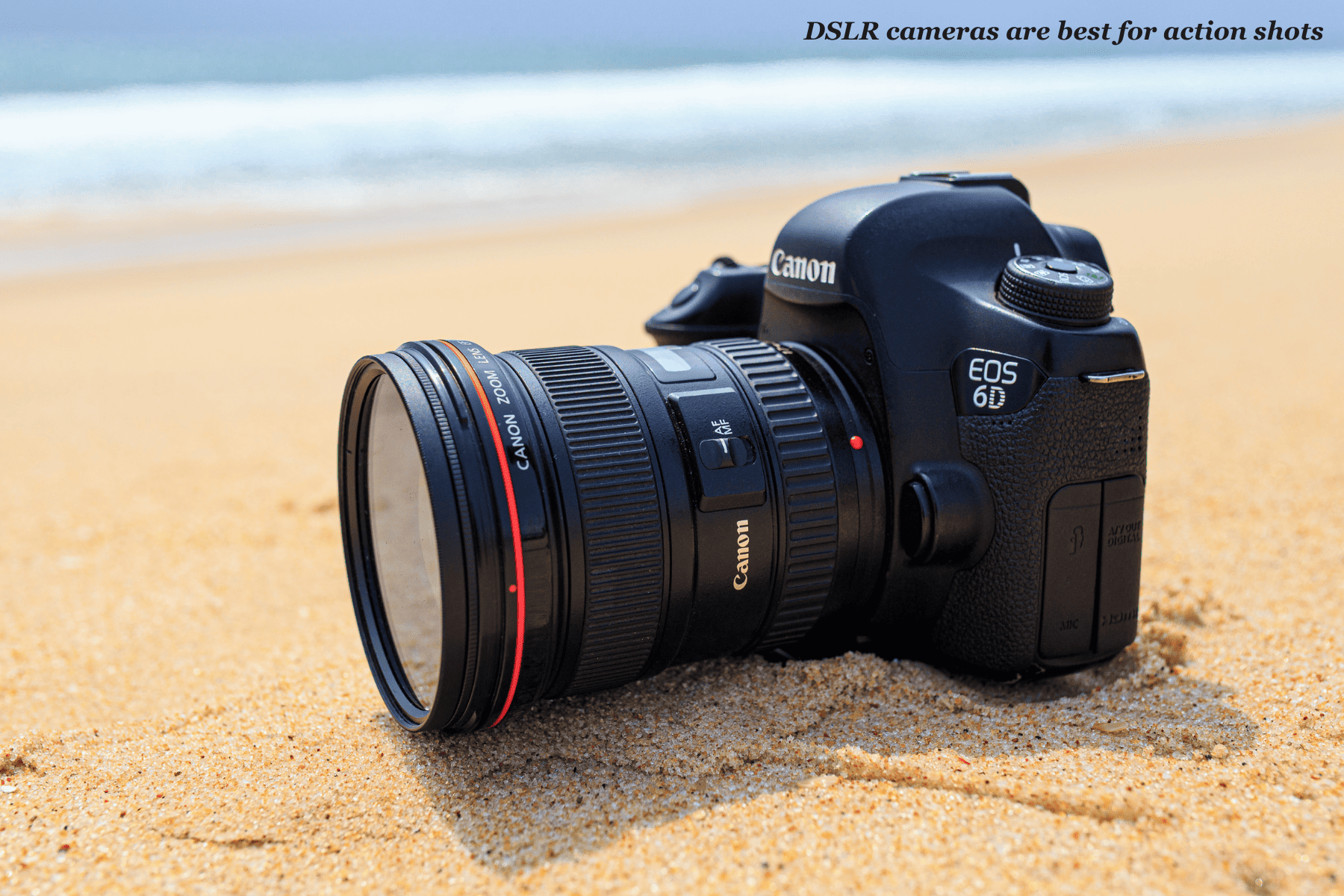 The Best Safari Camera Gear For Your Next Trip