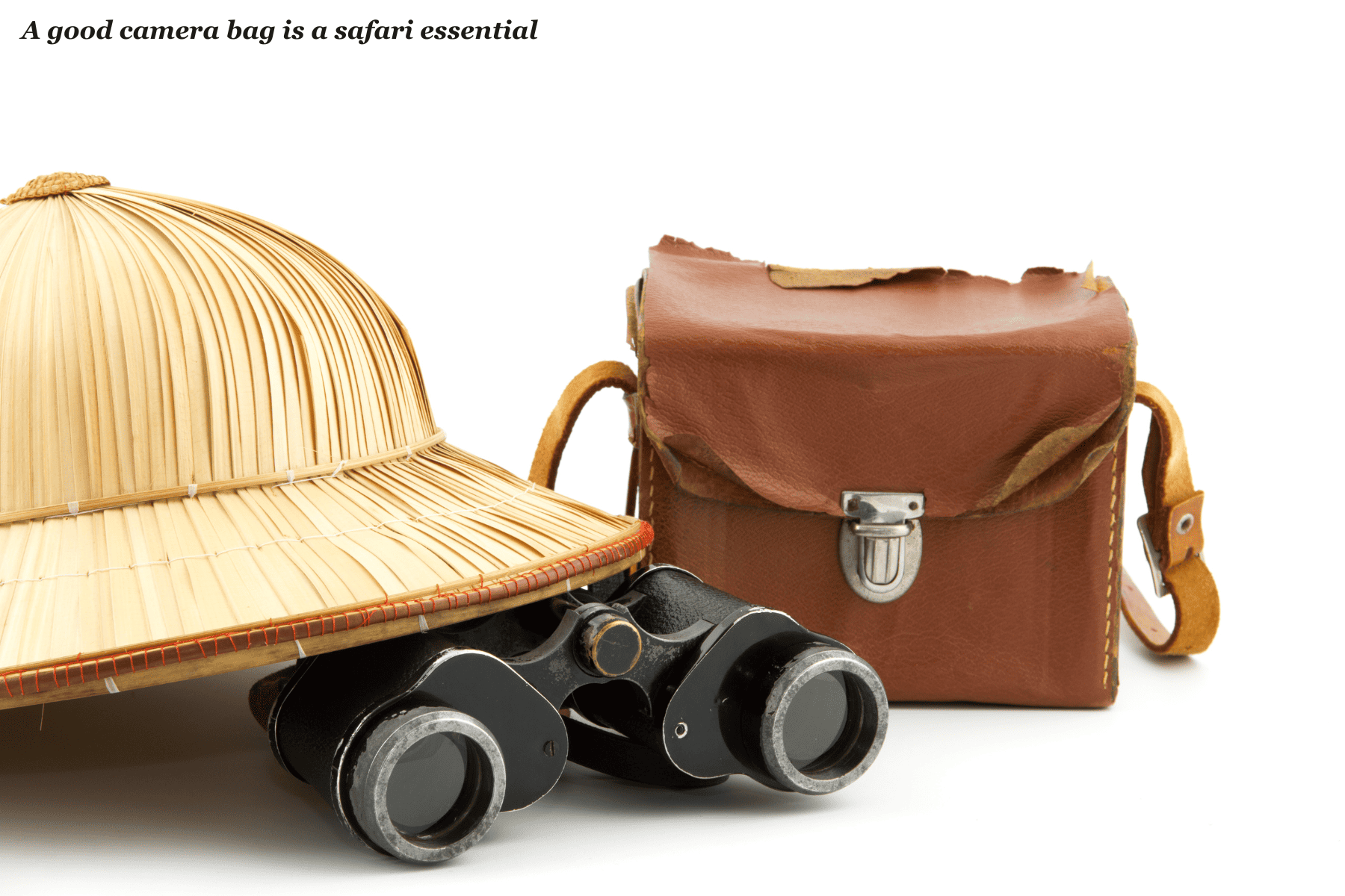 The Best Safari Camera Gear For Your Next Trip