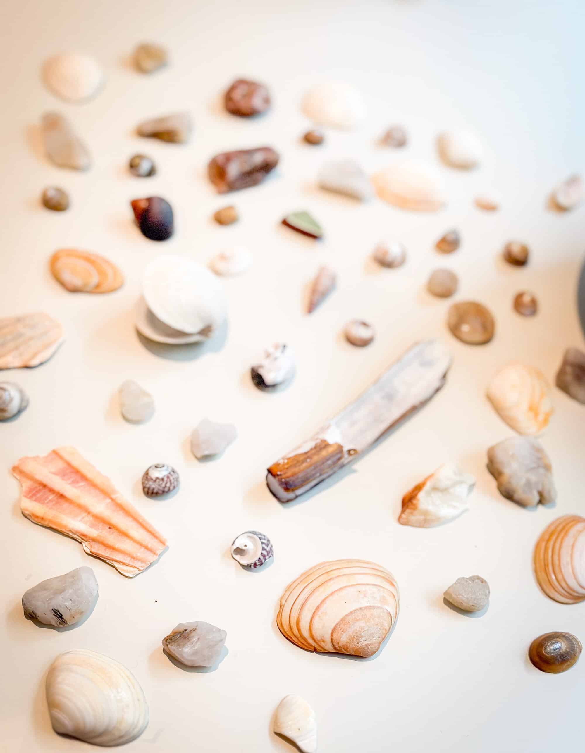 The Best Beaches in Salcombe, Devon