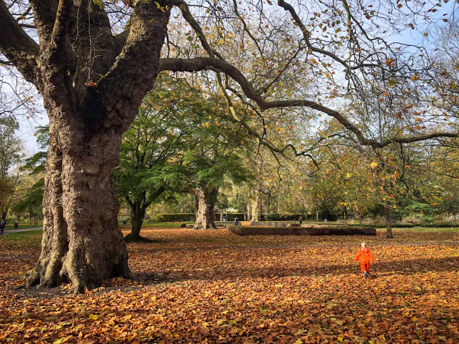 Cardiff in One Day: Your 24 Hour Cardiff Itinerary